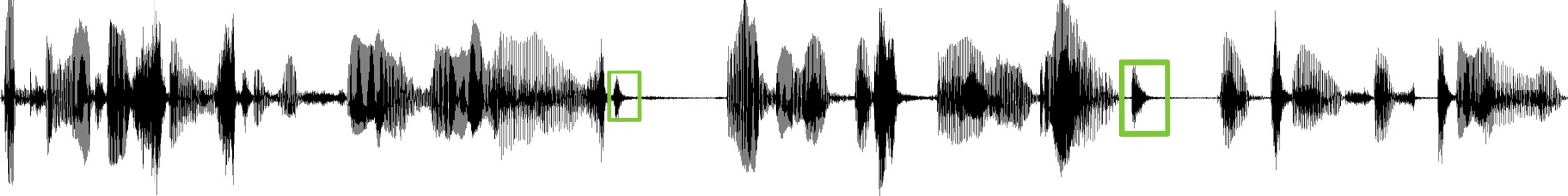 LJ Clip: UMBC CADVC Deepfake Gallery Exhibit – MData Lab – UMBC